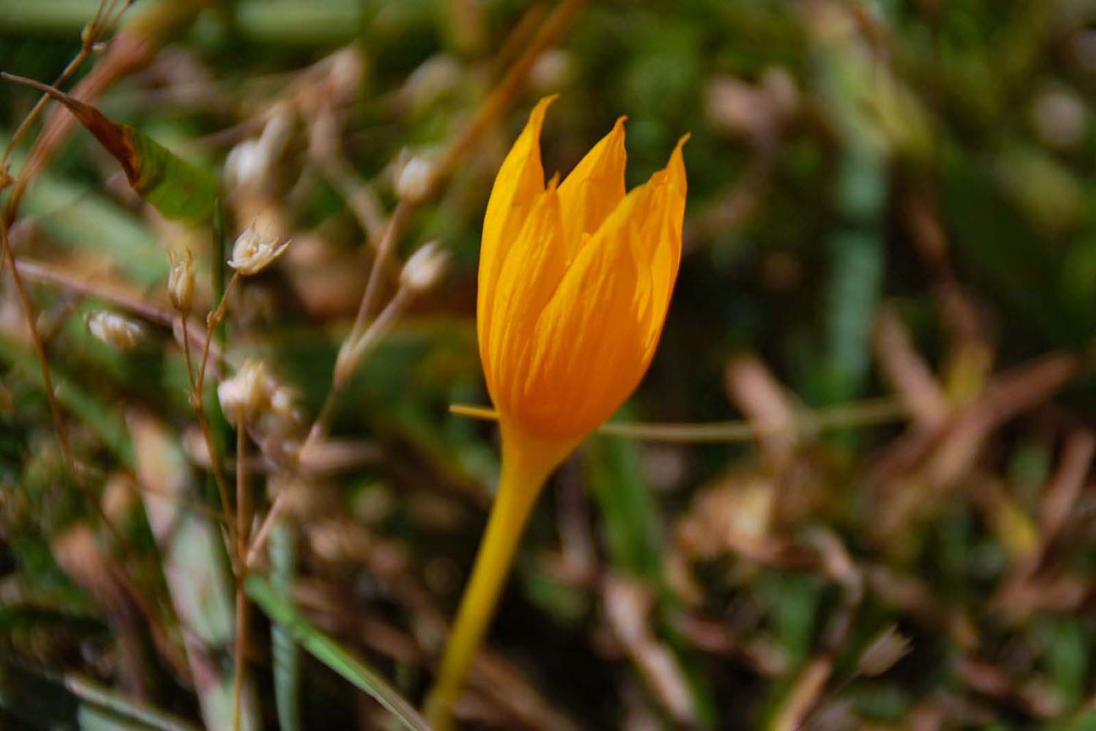 ABOUT PANKISI ~ May the force be with YOUth!