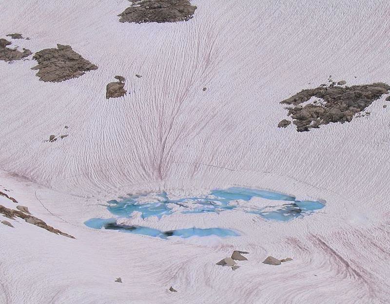 Watermelon Snow | Sierra Nevada Mountains California