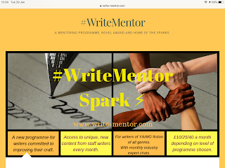 WRITE MENTOR SPARKS | Debbie Roxburgh