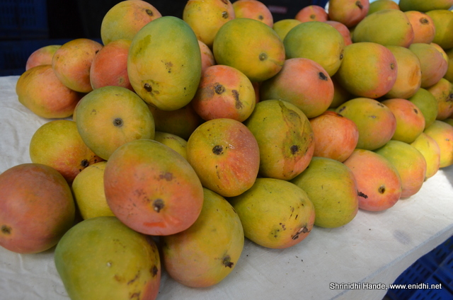 Lalbagh Mango and Jackfruit festival, Bengaluru - eNidhi India Travel Blog
