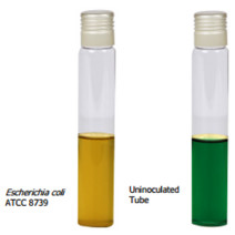 PHARMACEUTICAL MICROBIOLOGY: Enterobactreiase Enrichment Broth (EE Broth)