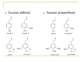 My Chemistry Journey: FENILPROPANOID