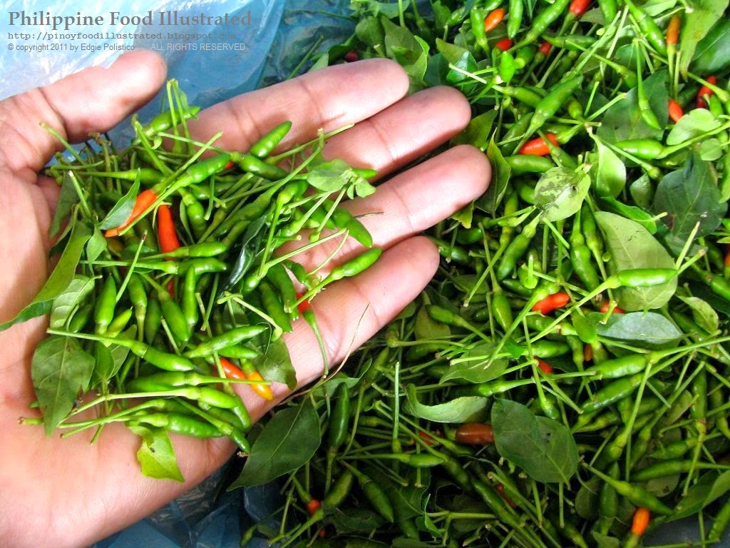 Philippine Food Illustrated: siling labuyo