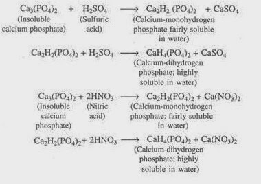 My Scientific Blog - Research and Articles: The Phosphorous Cycle