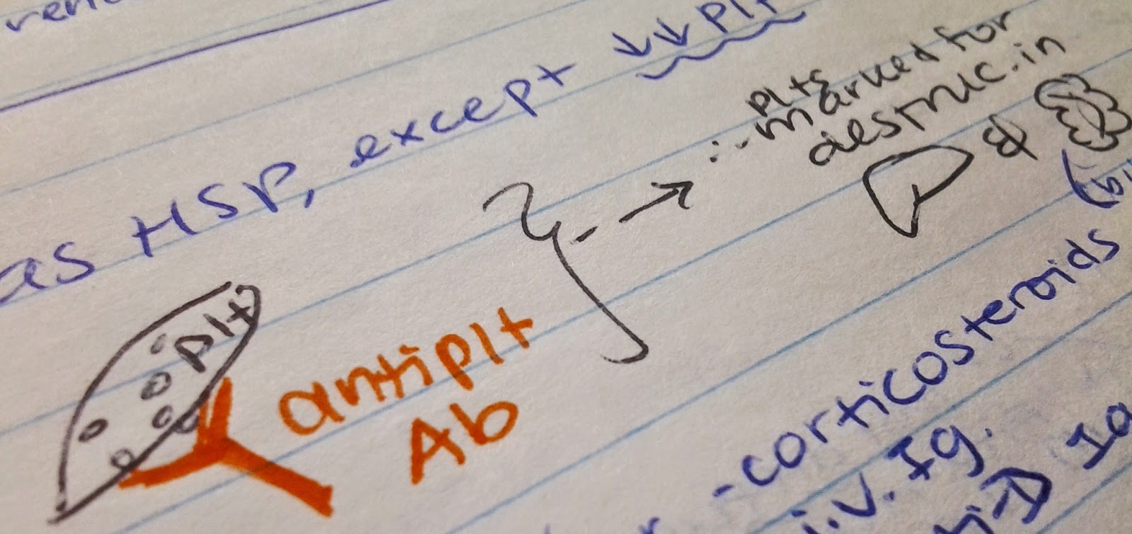 Winding Spiral Case: How To Study: Making Notes