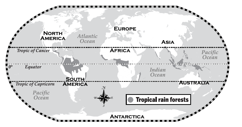 KS2 @ Hill Mead Primary, Brixton: Tropical quiz