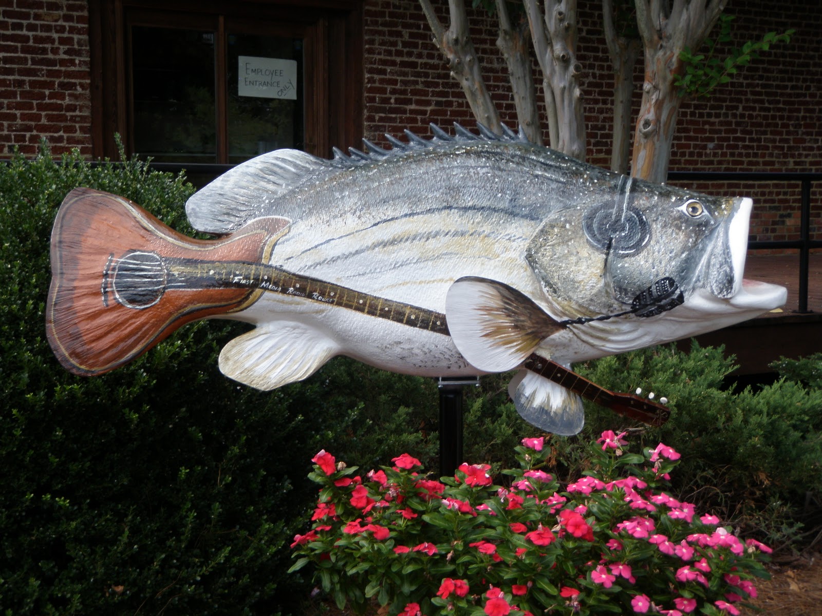 The Big Fish - Rockfish Capital Of The World Weldon Photos at Bernice ...