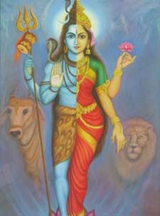 Art/Yoga Fusion: GENDER, SHAKTI AND KASHMIR SHAIVISM