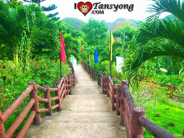 How to go to Sagbayan Peak in Province of Bohol? - I ♥ Tansyong