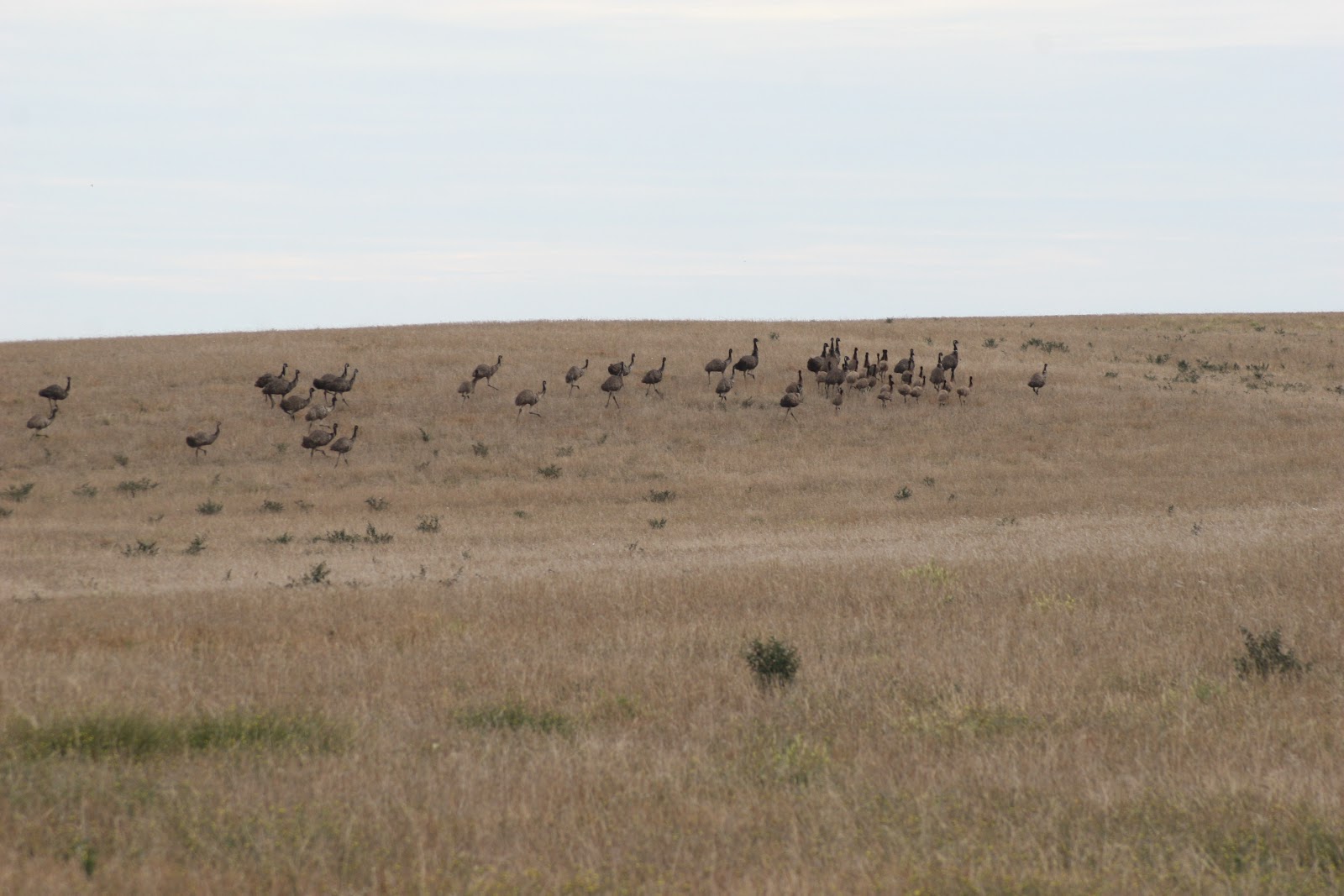 Ray and Maura Travelling Australia: Moonta Bay to Port Vincent via ...