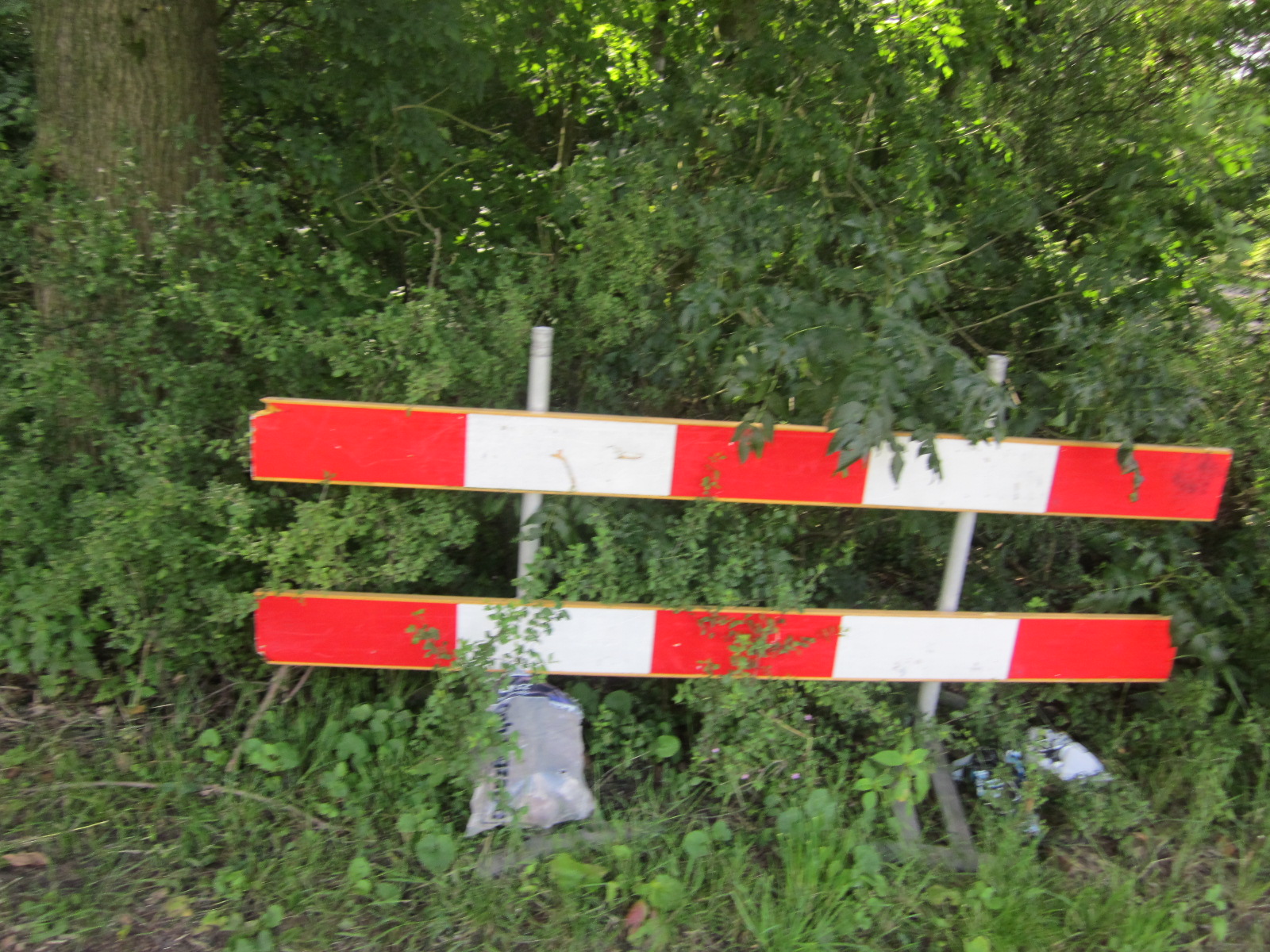 Cryptoforestry In The UK psychogeography Is A Fancy Word For nostalgia cryptoforestry-in-the-uk-psychogeography-is-a-fancy-word-for-nostalgia