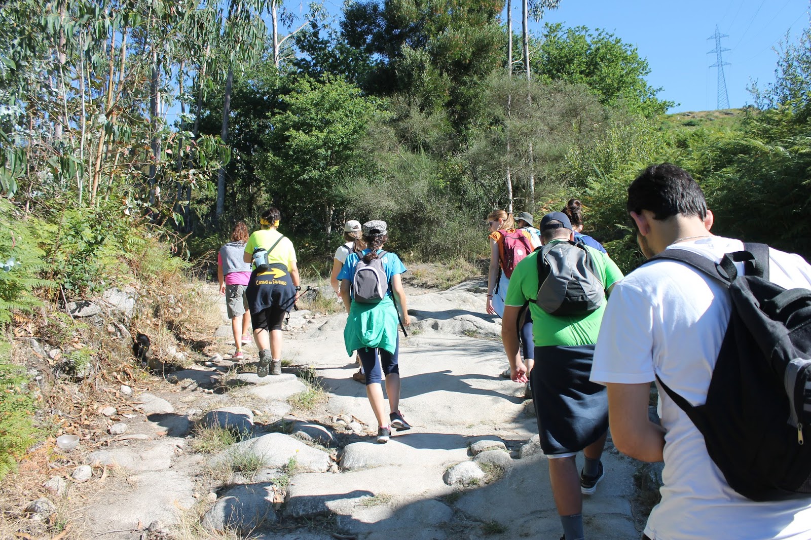 Santiago: "O Caminho faz-se caminhando"