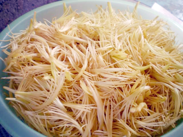 Saya orang biasa: sayur kangkung bunga durian