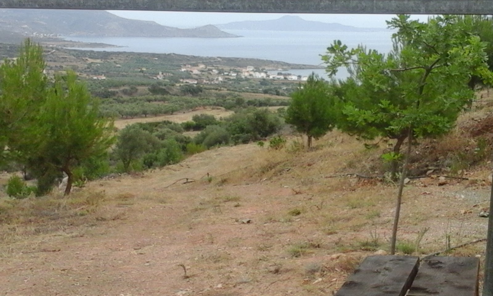ELIKA-MARATHIAS: Με πρωτοβουλια του Πολιτιστικου συλλογου εγινε ...