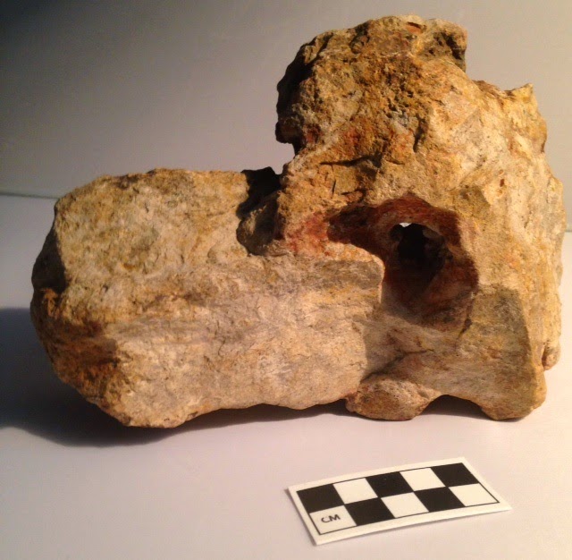 Archaeology of Portable Rock Art: Bird with head turned back sculpture ...