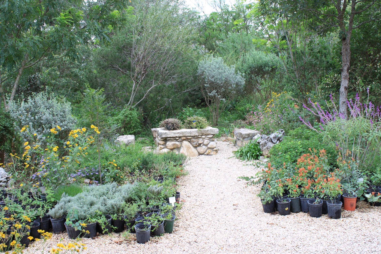 Rock-Oak-Deer: Medina Garden Nursery