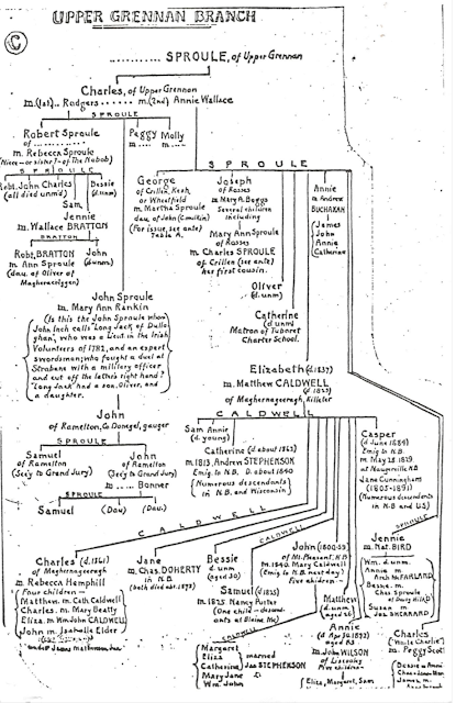 Sproule Genealogy: Elder's Tree showing Sproules of Upper Grennan and ...