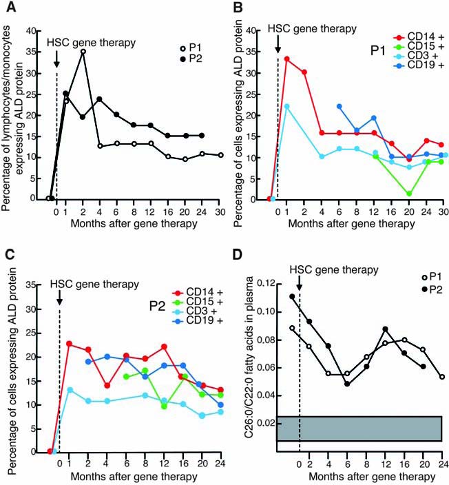 Adrenoleukodystrophy