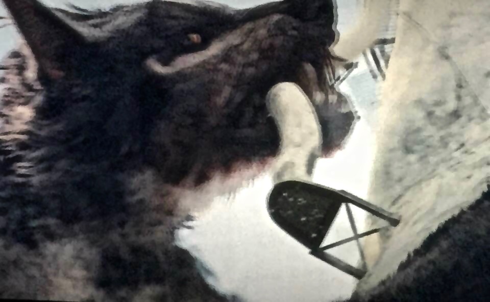 cult film freak: CLASSIC CULT VIDEO GAME 'RAMPAGE' AS A MOTION PICTURE