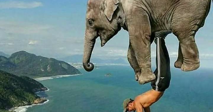 வலிப்போக்கன் : அதெப்படி..மோடி சொன்னாதான் நம்புவோம்.....