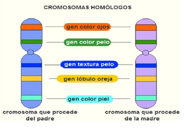 CienciasNaturales/JDY: marzo 2019