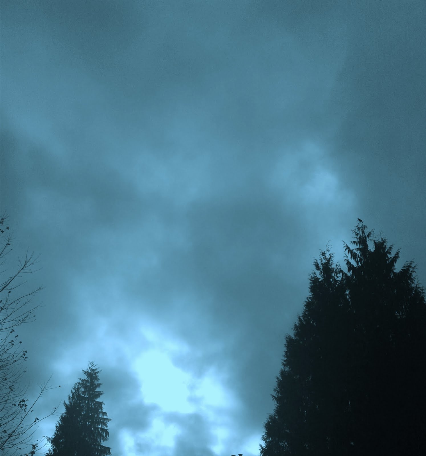 FOR THE HOLY ONE OF ISRAEL