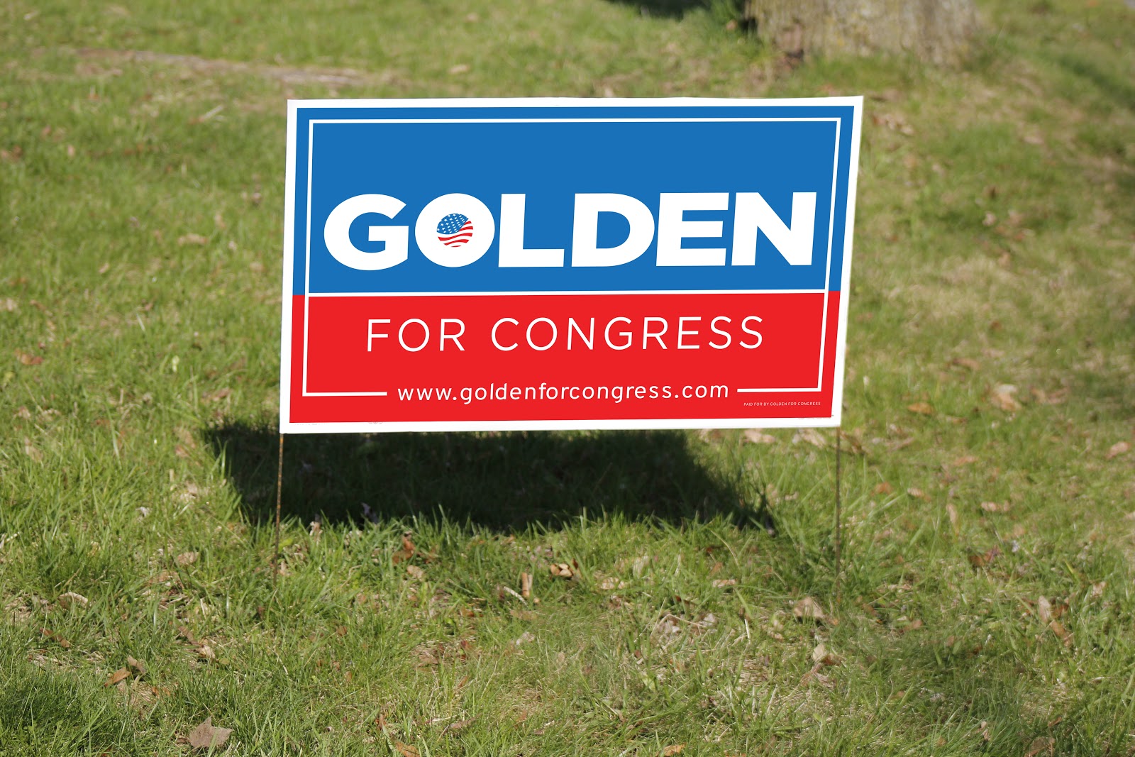 Wellsville Regional News (dot) com: Golden for Congress Yard Signs ...