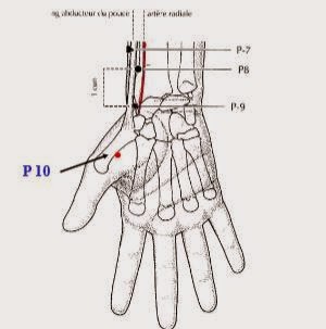 Blog Le Souffle du Menhir: Points du méridien du Poumon