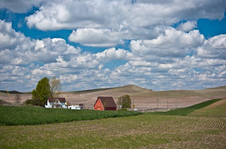 PENTAX DSLRs: Today's photographs tend to be a little over saturated ...