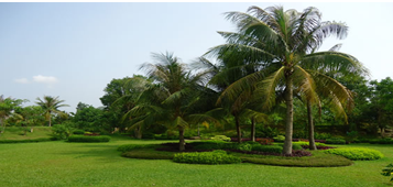 Ti Krong Teuk Resort or Beung Samrith Resort ~ ViewEveryDay.com