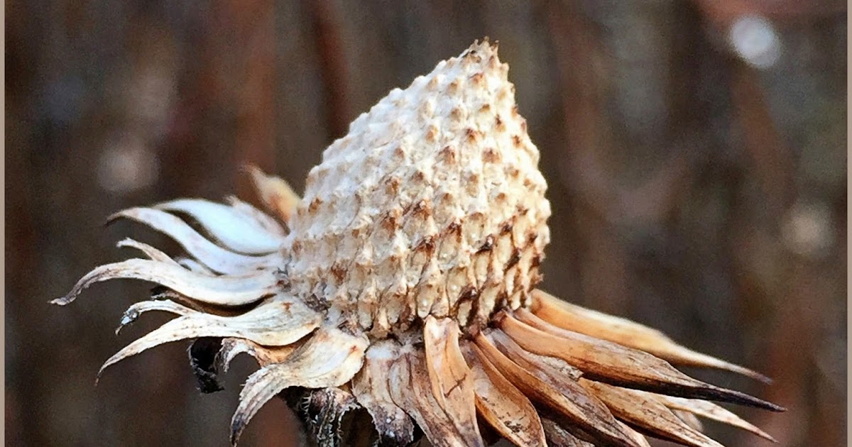 Beth Fish Reads: Wordless Wednesday 477