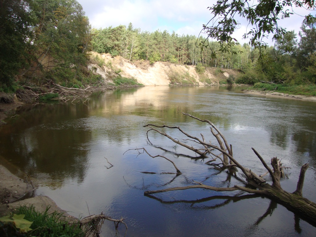 Prochownia w Terespolu: Tym razem Neple.