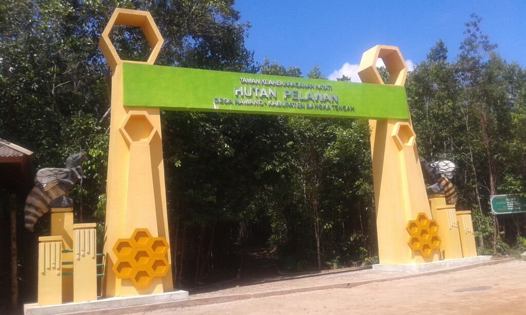 Pesona Hutan Pelawan Desa Namang