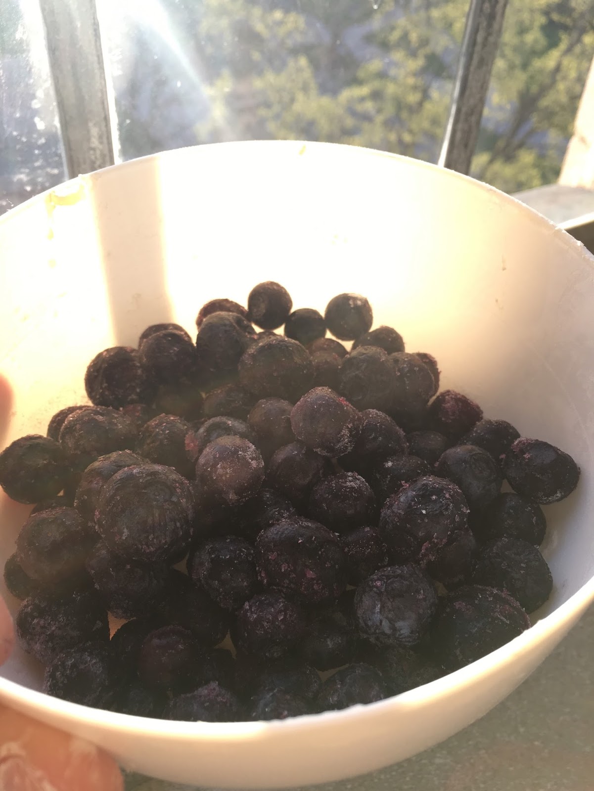 SLU Nutrition and Dietetics Internship Blog: Tiny Yet Powerful Blueberries