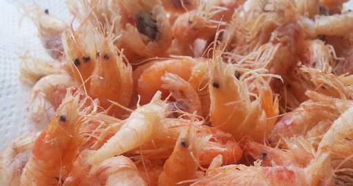 Fortaja coe schie | dolce forno