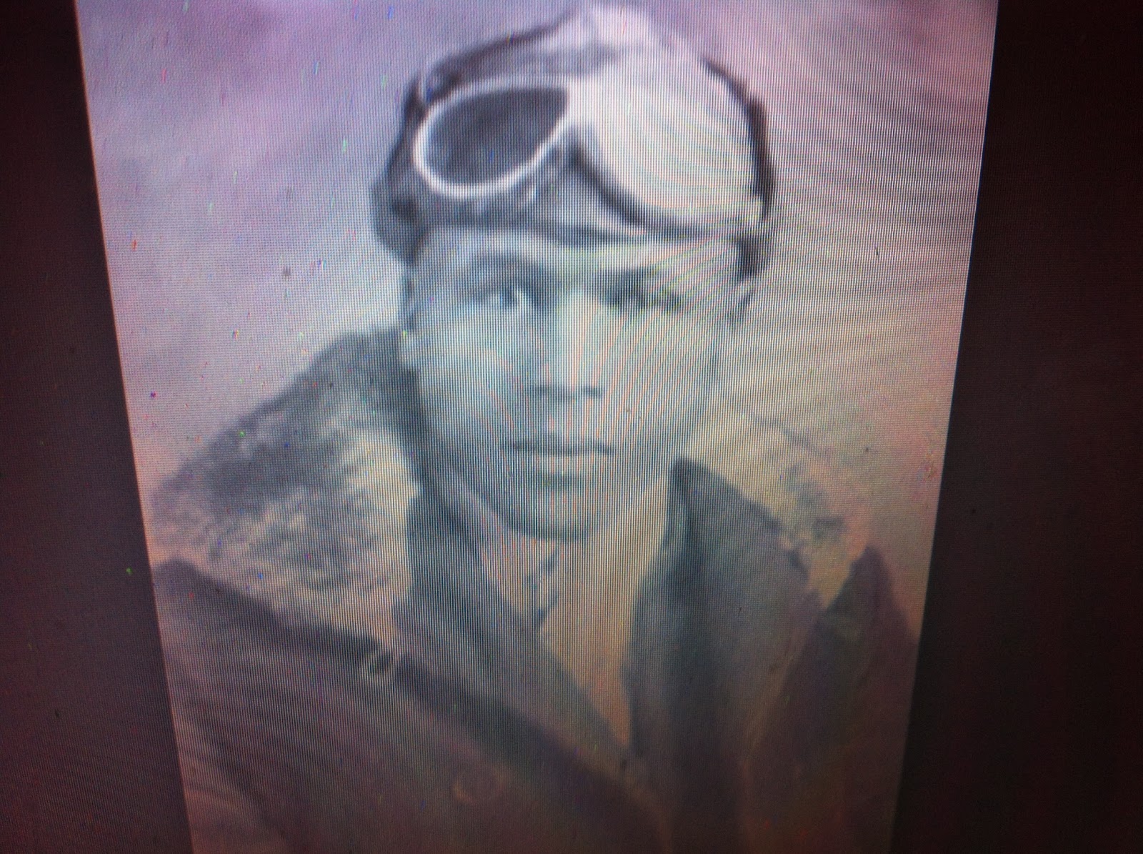 THE BLACK SOCIAL HISTORY:: BLACK SOCIAL HISTORY : AFRICAN AMERICAN ...