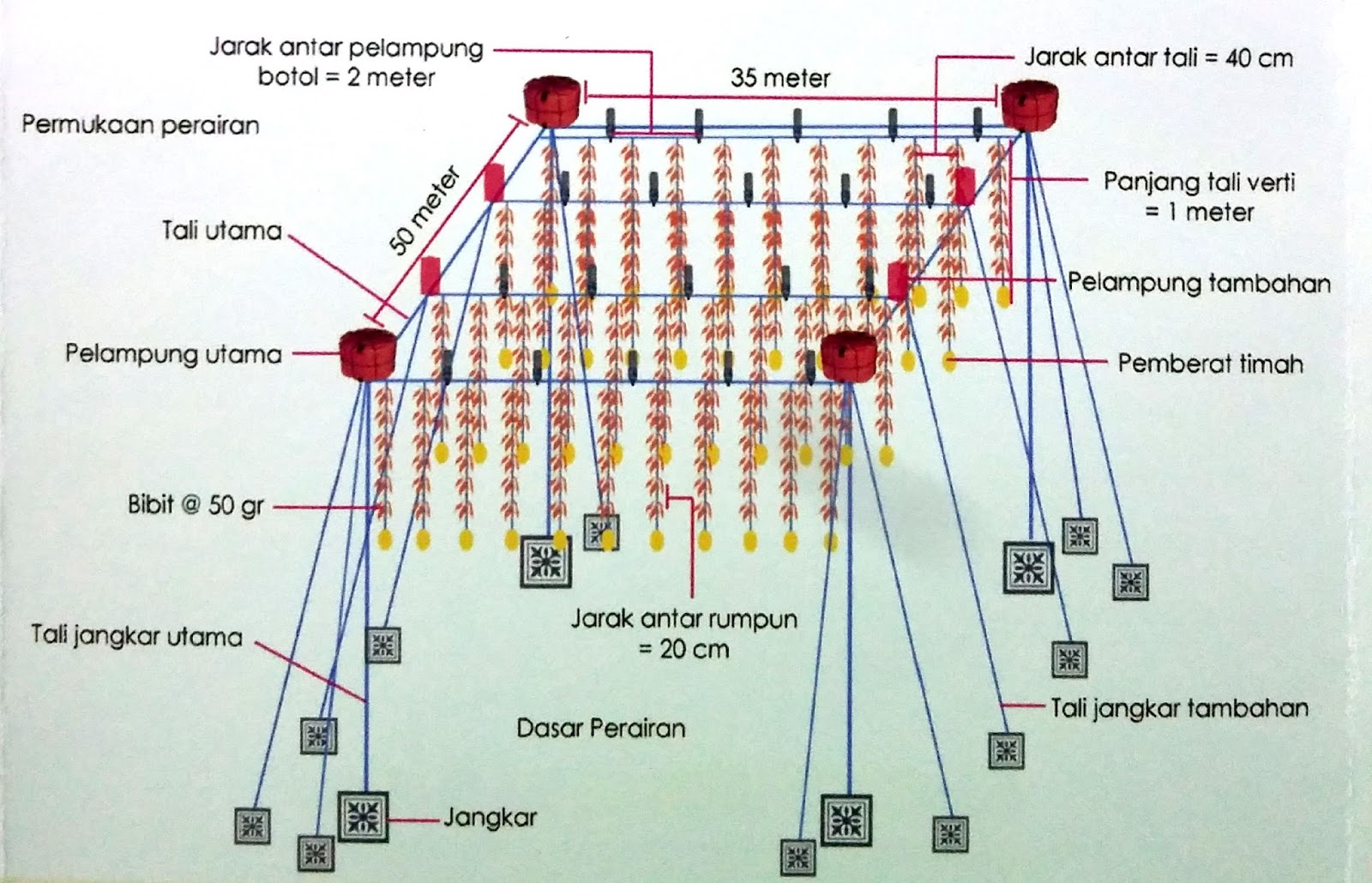 PUSAT STUDI SUMBER DAYA PESISIR LAUT: Budidaya Rumput Laut
