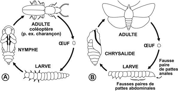 Je Suis Comme Je Suis: Une semaine de sciences naturelles