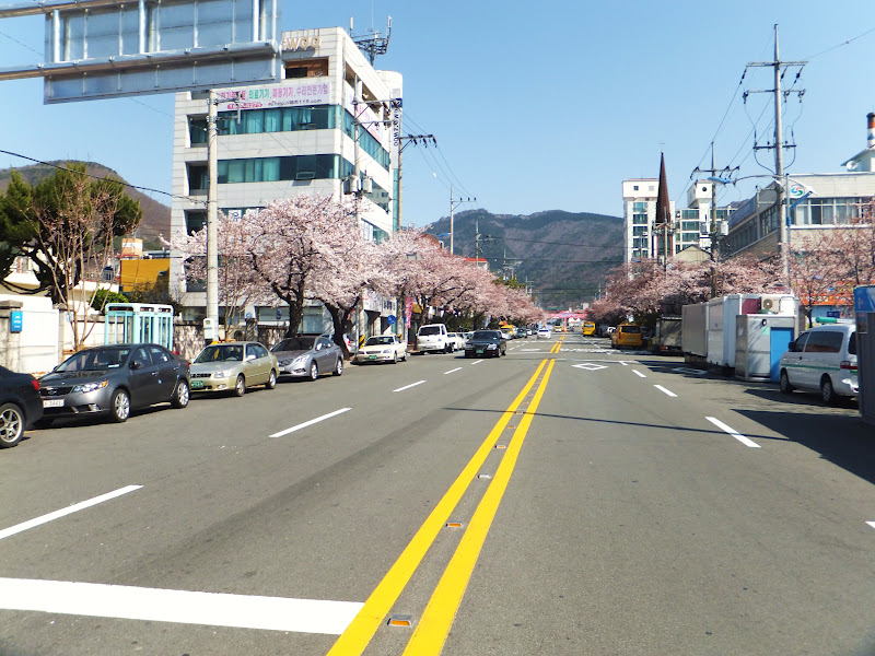 HAPPYDALKIS: 6 April 2012 - Getting to 여좌천 Yeojwa stream(Jinhae)