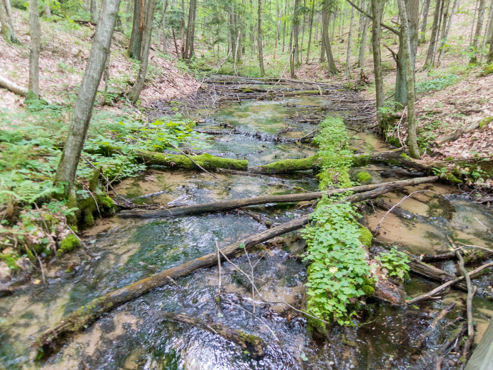 Eric's Hikes: Jordan River Pathway/NCT loop