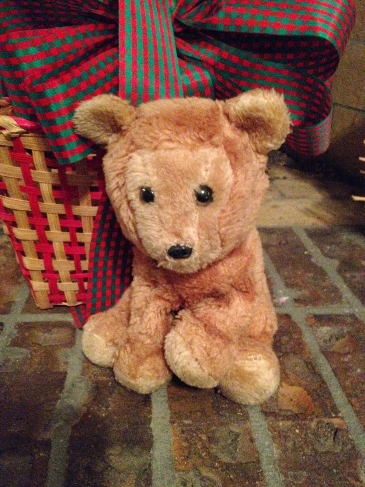 The Teddy Bear Shelter: 1976 Vintage Dakin Teddy Bear