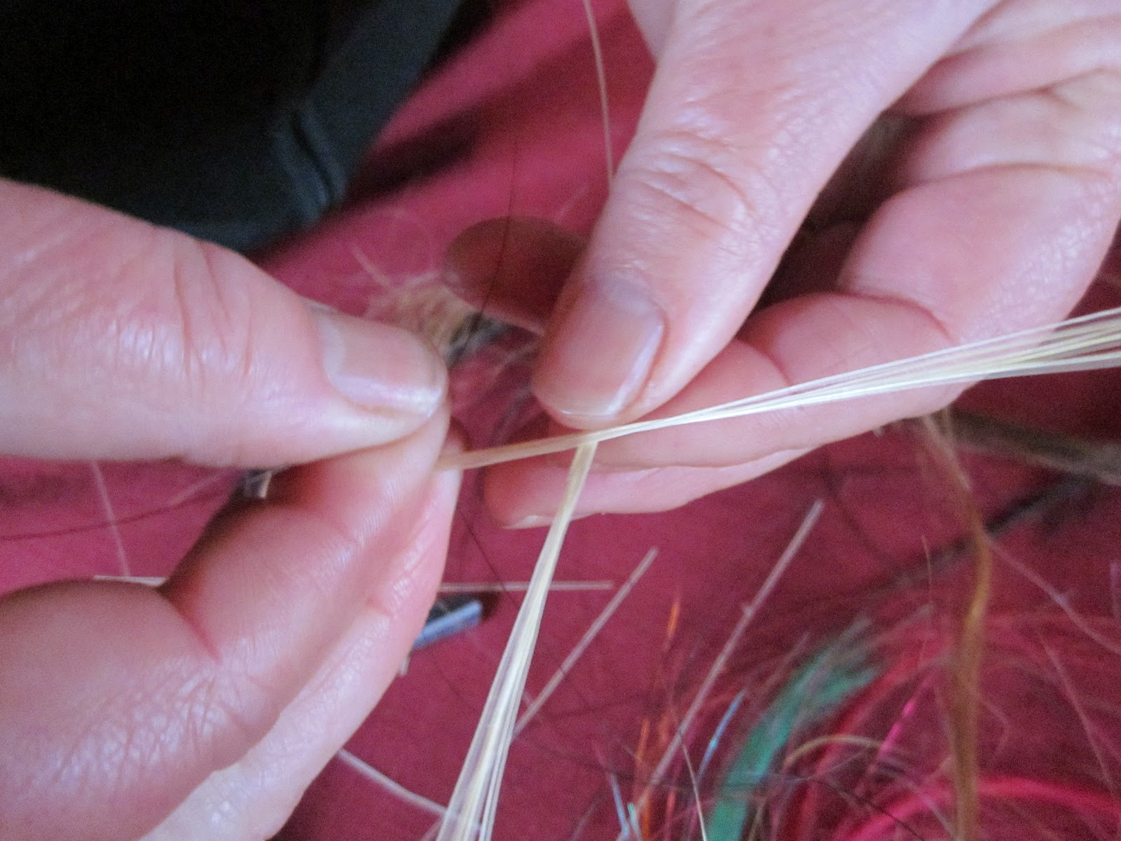 Chile Con Karen: Crin, Horsehair