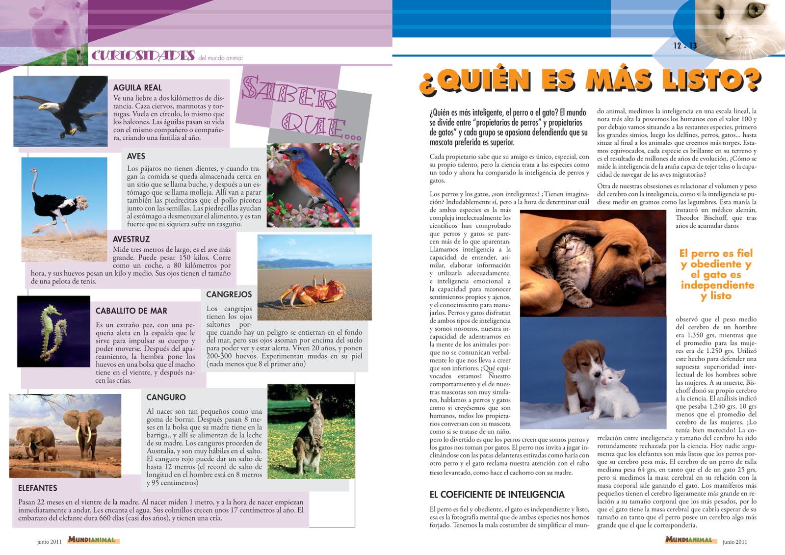 El sitio de mis ideas: Revista Animales