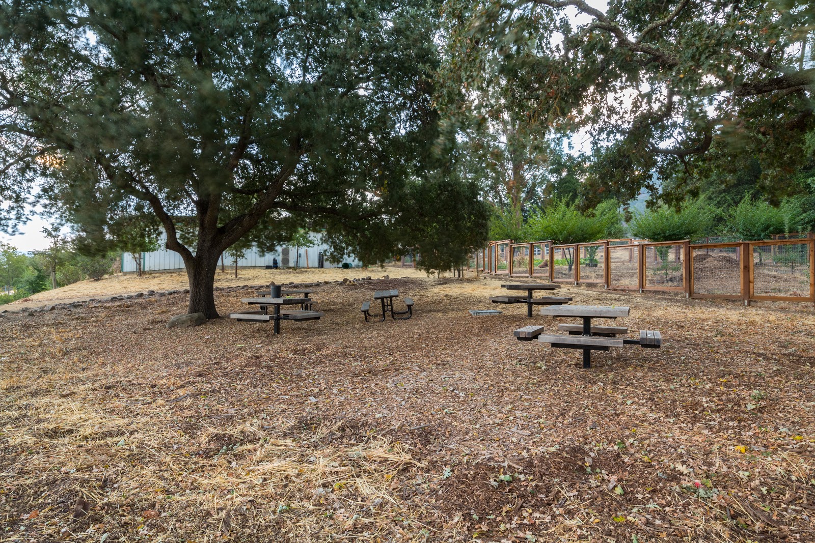 Naturetastic Blog: Alviso Adobe Community Park - Pleasanton, CA (9/11/2017)