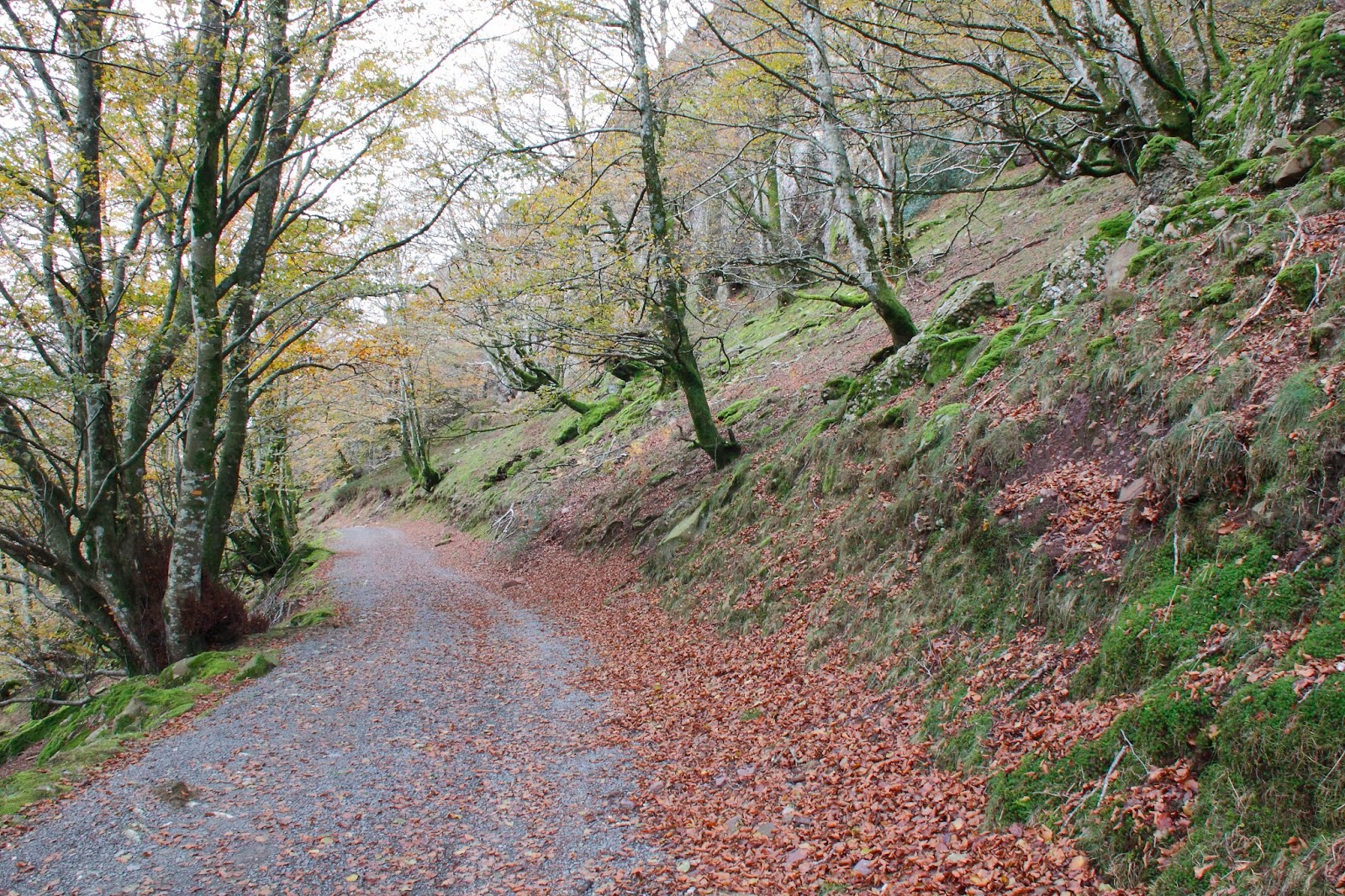 Mis fotografías: Ermita de Santa María de Belate (Navarra): 07.NOV.2013