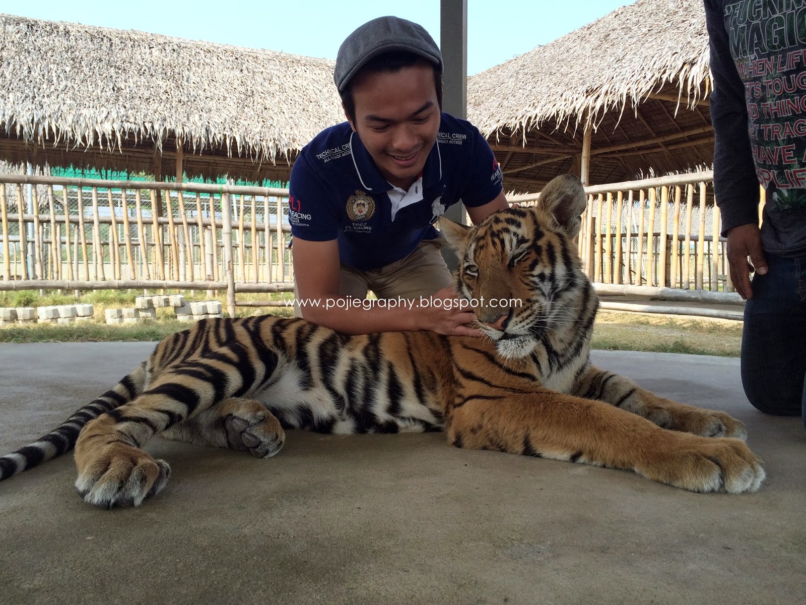 Bangkok Journey Part 2 – P O J I E G R A P H Y