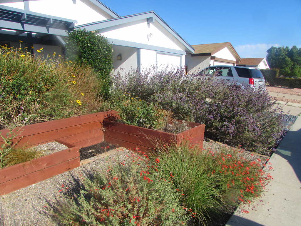 El jardín geométrico – Jardines Que Me Gustan