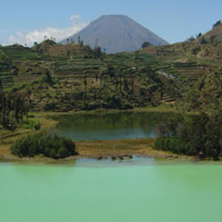 Indonesian Tourism Review: Yogyakarta - Dataran Tinggi Dieng Tourism Review