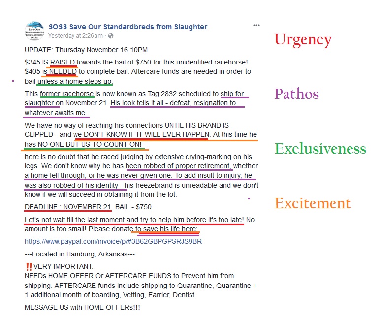 North Horse: The Secret Behind Kill Pen Rescues (and How Much a ...
