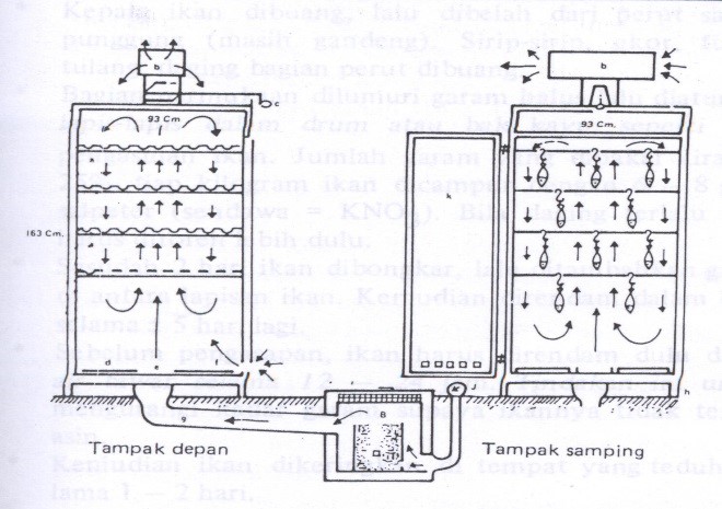 M-Fishery: TEKNIK PENGASAPAN IKAN